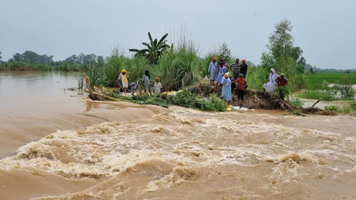 Bad news for Punjab? IMD issues flood, heavy rain alert sounded in 6 districts - The Week